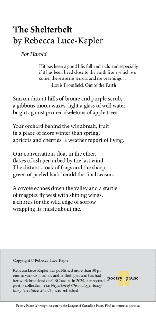 The Shelterbelt by Rebecca Luce-Kapler - League of Canadian Poets